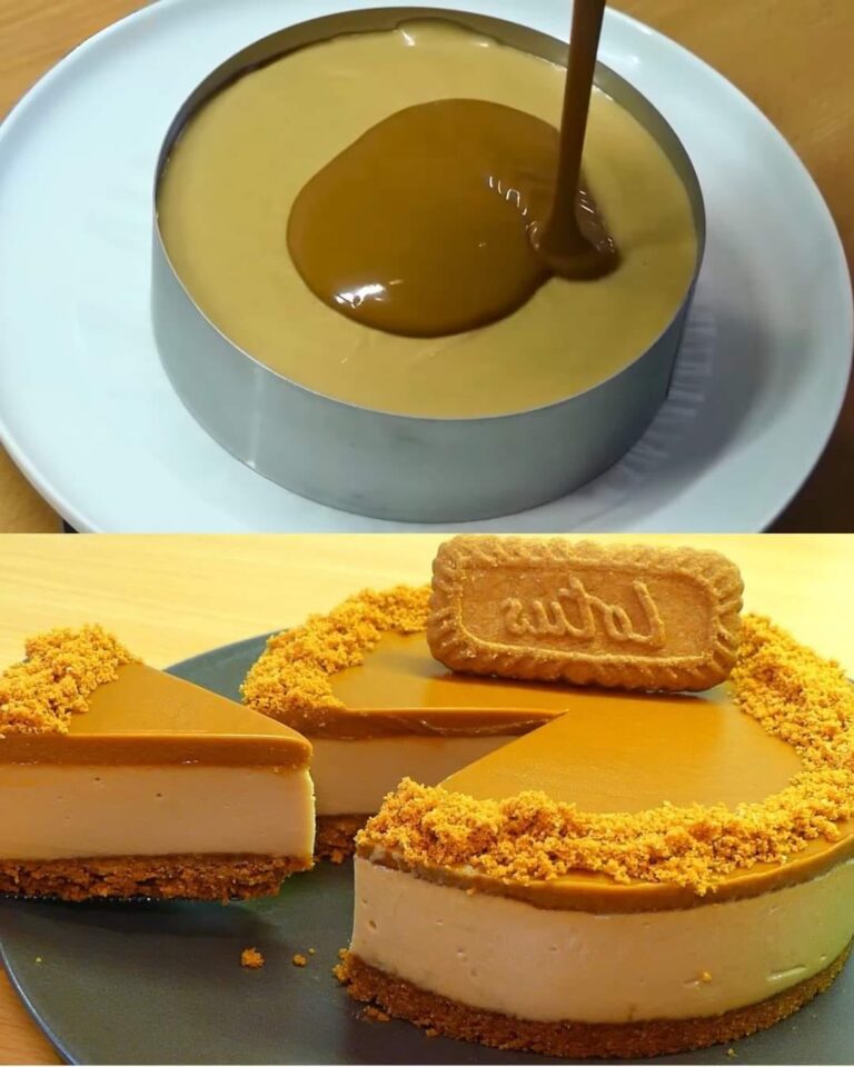 No-Bake Lotus Biscoff Cheesecake Recipe – USA