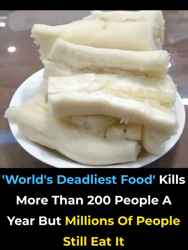 Over 200 People Die From the “World’s Deadliest Food” Every Year — Yet ...