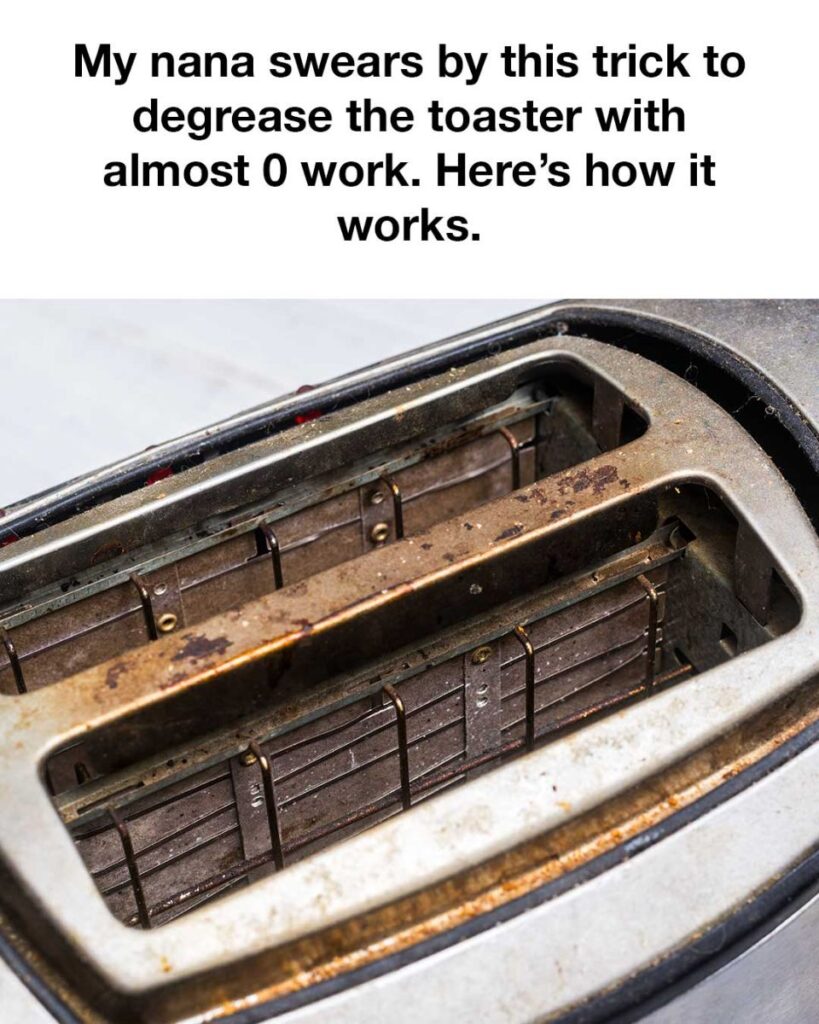 She Tried This Old-School Toaster Trick and the Grease Melted Away With ...
