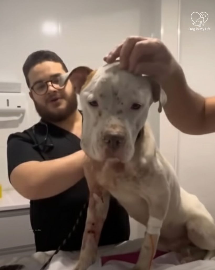 So I called a nanny from the hospital bed, cut all family ties and ...